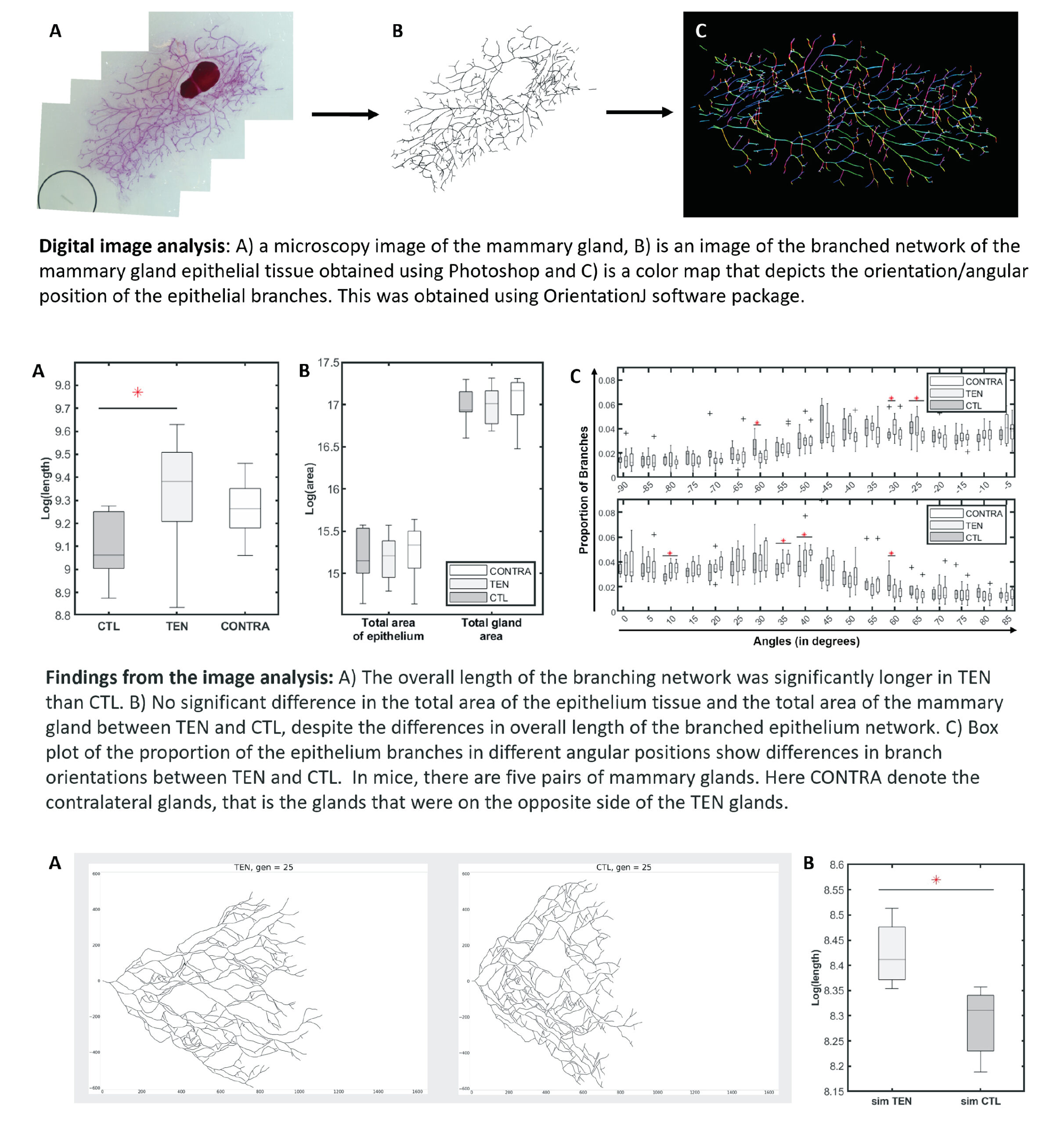 Featured Student Research – Daisy Ulloa - Computational Science ...